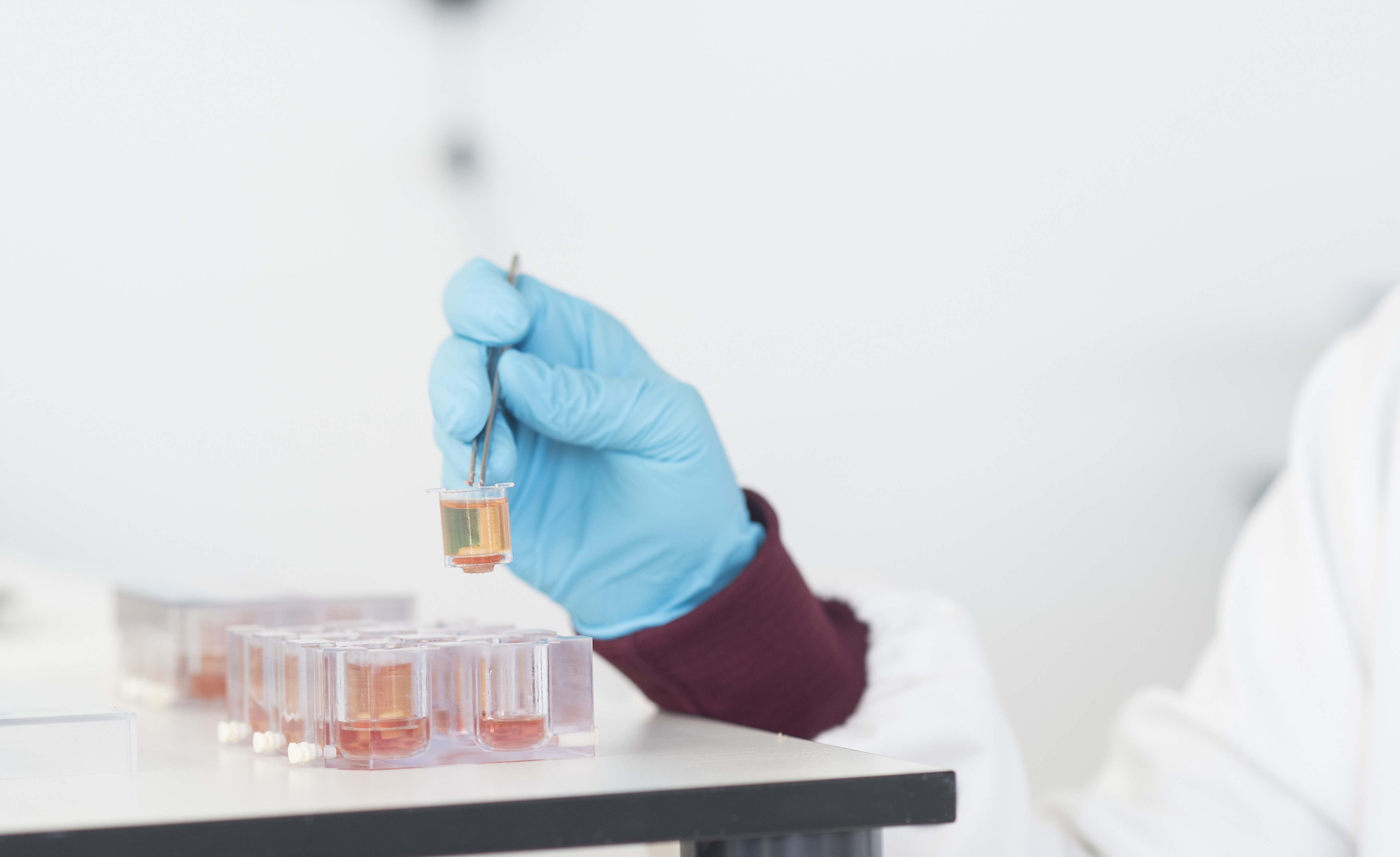 CARBON | LifeTec Group