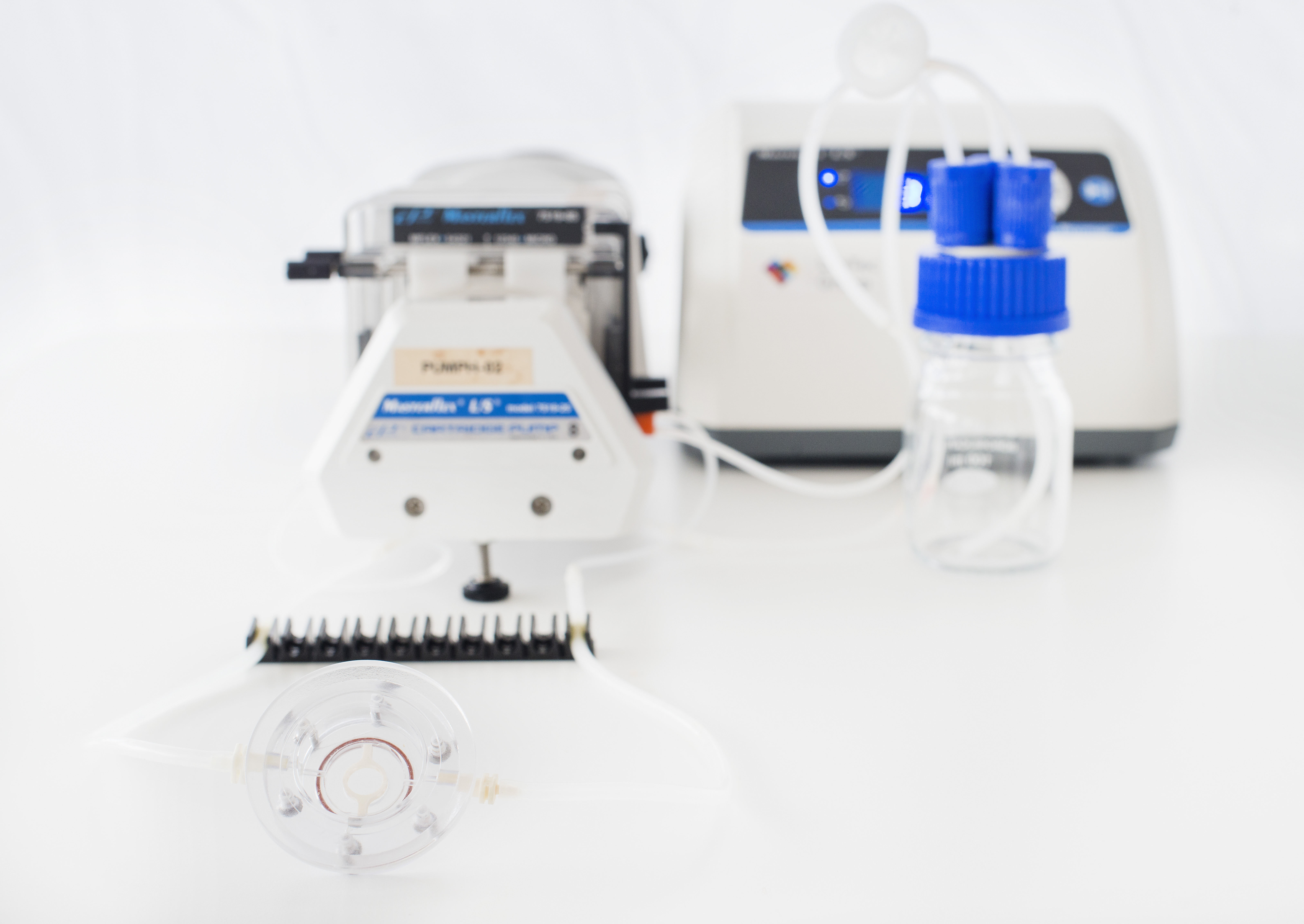 NANOFIBRILLAR CELLULOSE AS A DEGRADABLE SCAFFOLD | LifeTec Group