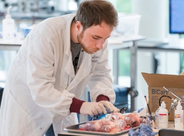 FULL-FIELD ANALYSIS OF EPICARDIAL STRAIN IN AN IN VITRO PORCINE HEART ...