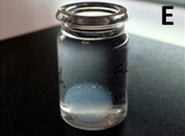 CARTILAGE REGENERATION | LifeTec Group