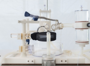 INVESTIGATING THE PHYSIOLOGY OF NORMOTHERMIC EX VIVO HEART PERFUSION ...