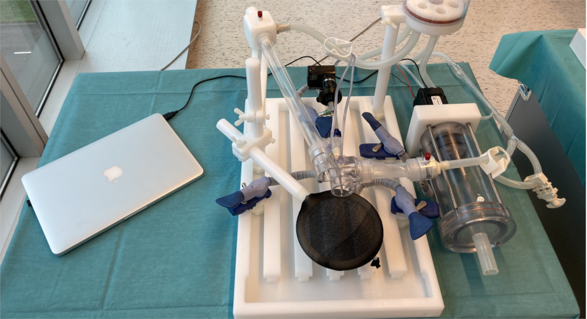 Minimally invasive coronary artery bypass | LifeTec Group