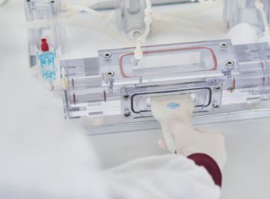 VASCULAR BIOREACTOR | LifeTec Group