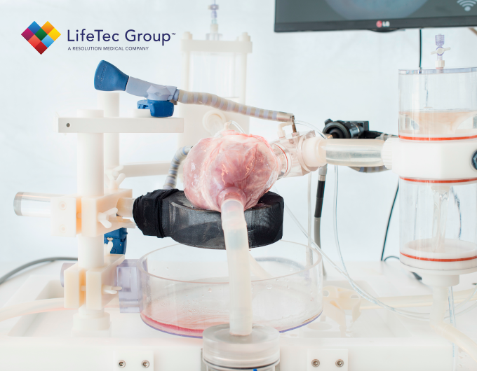 Cardiac BioSimulator | LifeTec Group