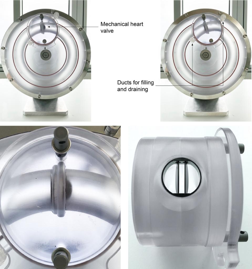 MarioHeart Model for Testing Heart Valve Prostheses and Anticoagulation ...